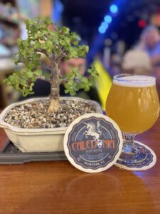 Upcoming Events – Caledonia Brewing – Dunedin, FL